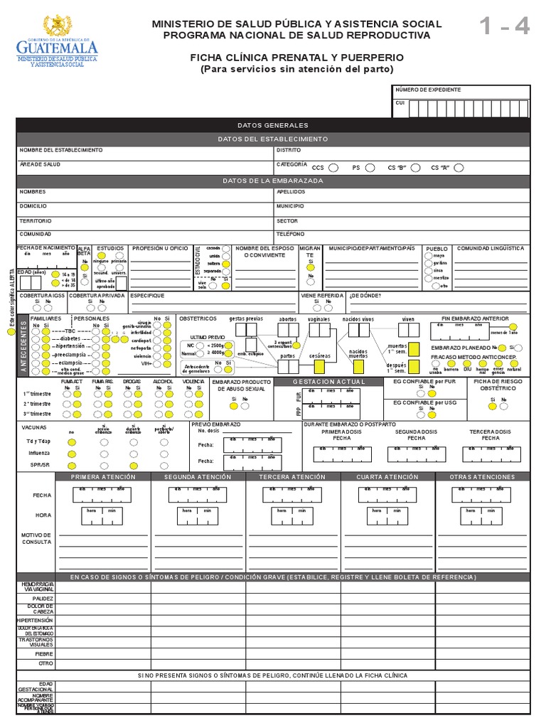 Carnet Prenatal para Imprimir | PDF | El embarazo | Parto