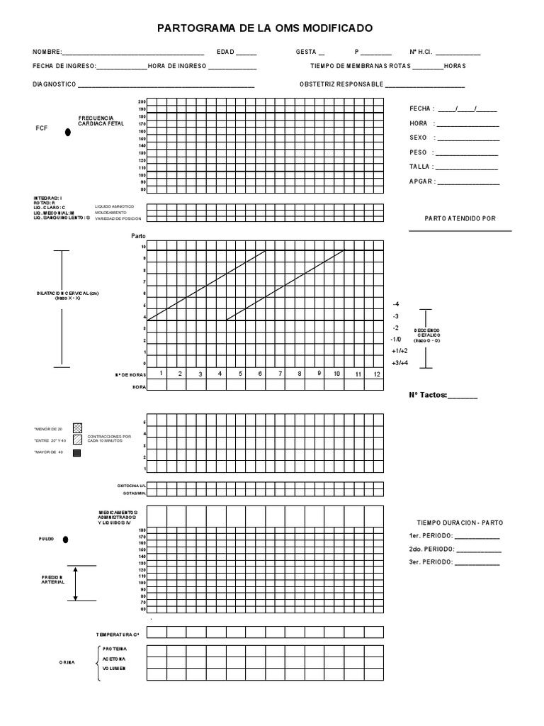 El Partograma | PDF | Parto | Partería