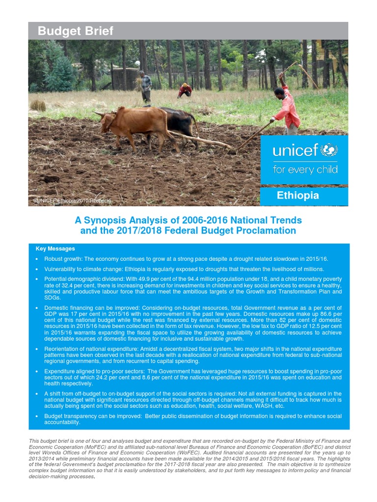 UNICEF Ethiopia 2017 National Budget Brief | PDF | Taxes | Economic Growth
