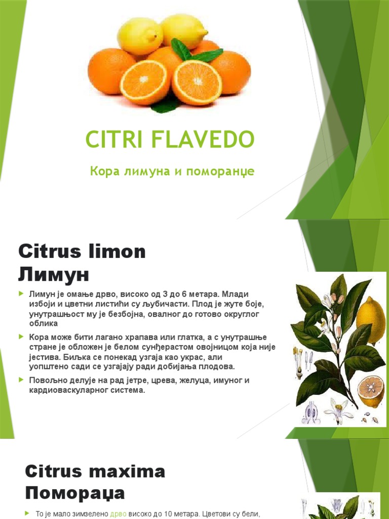 Citri Flavedo | PDF