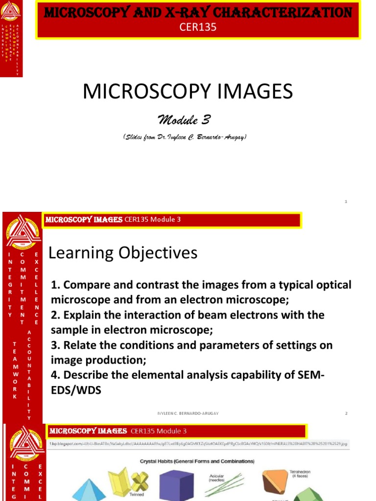 CER135 M3 - Microscopy Images | PDF | Microscope | Microscopy
