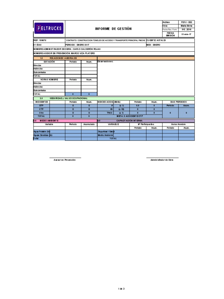 Informe Gestion Formato | PDF
