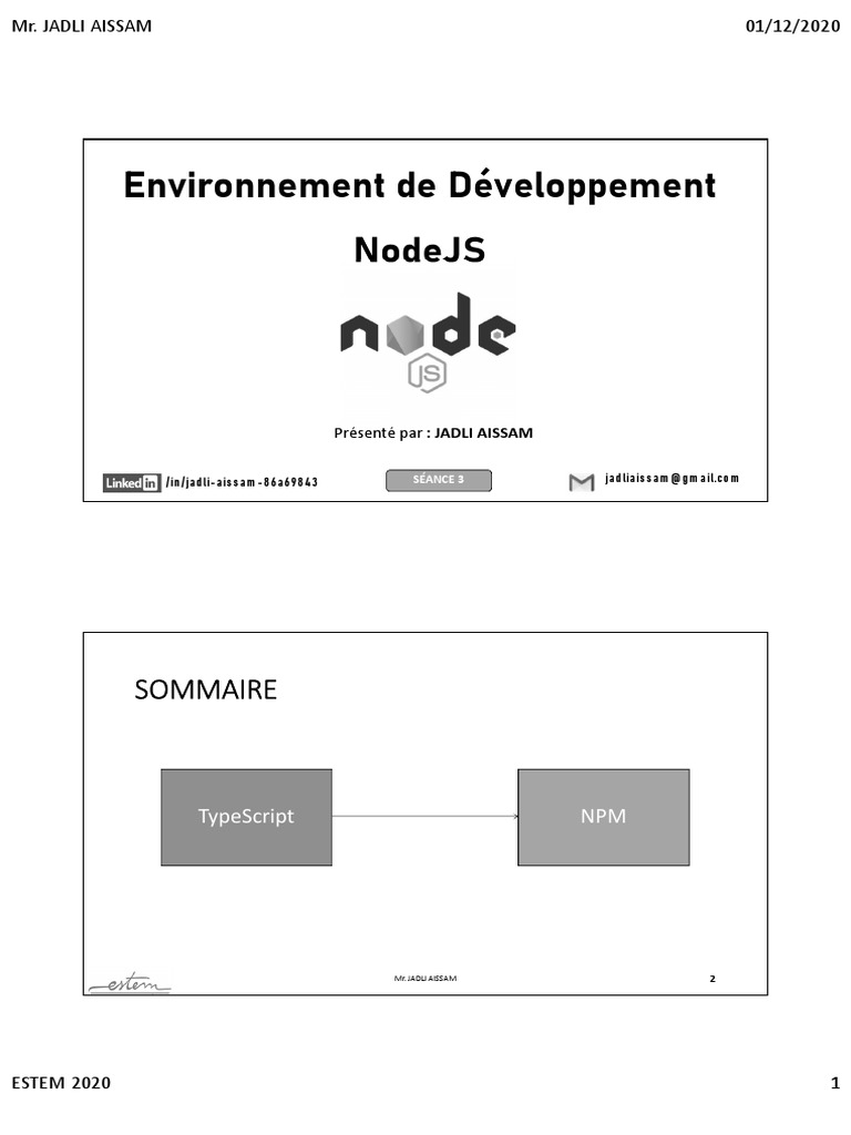 ESTEM NodeJS S3 | PDF | JavaScript | Interface (Informatique) ESTEM NodeJS S3 | PDF | JavaScript | Interface (Informatique)