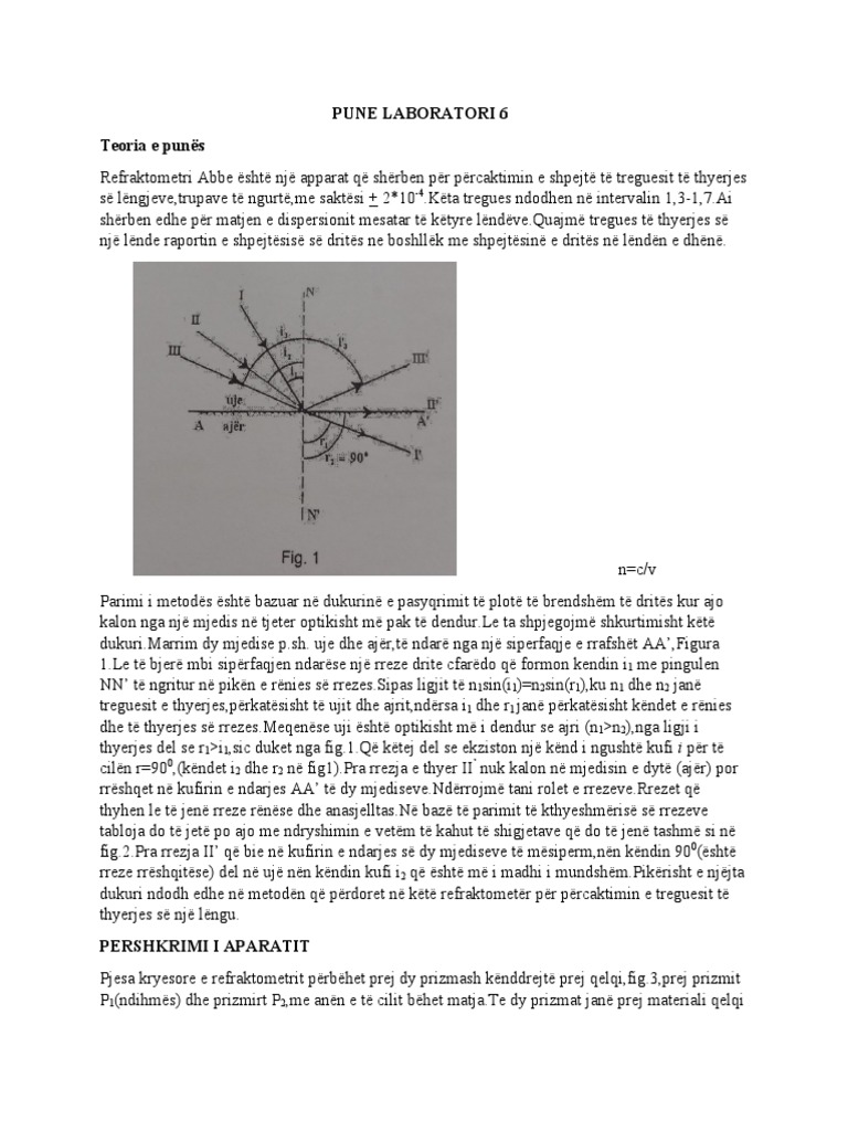 Puna 6 Lab - Fizike | PDF