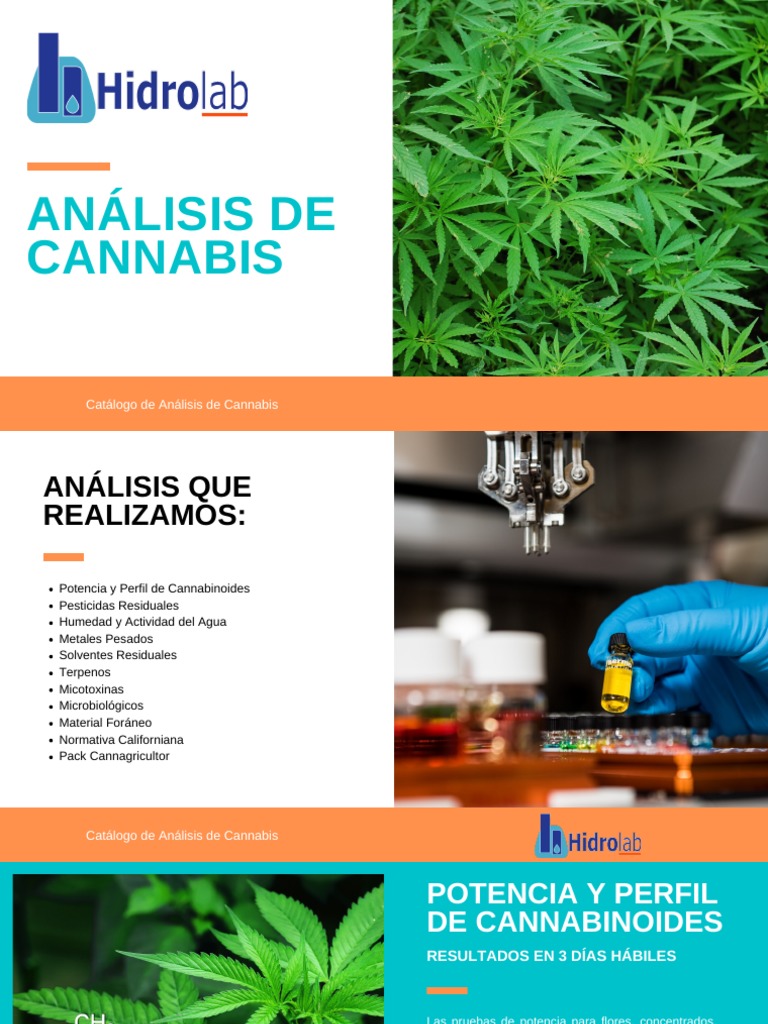 Catálogo Análisis de Cannabis 2020 - Hidrolab Colombia | PDF | Cannabis ...