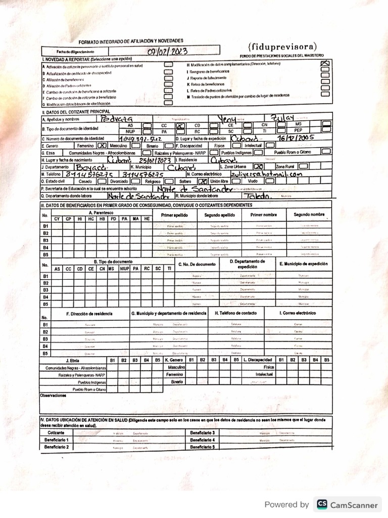 Formato Integrado de Afiliación | PDF