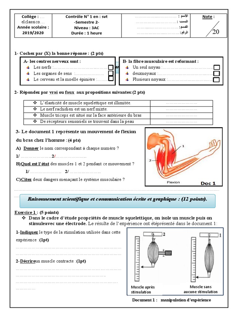 Contrôle SVT 3AC Semestre 2 | PDF | Nerf | Muscle squelettique