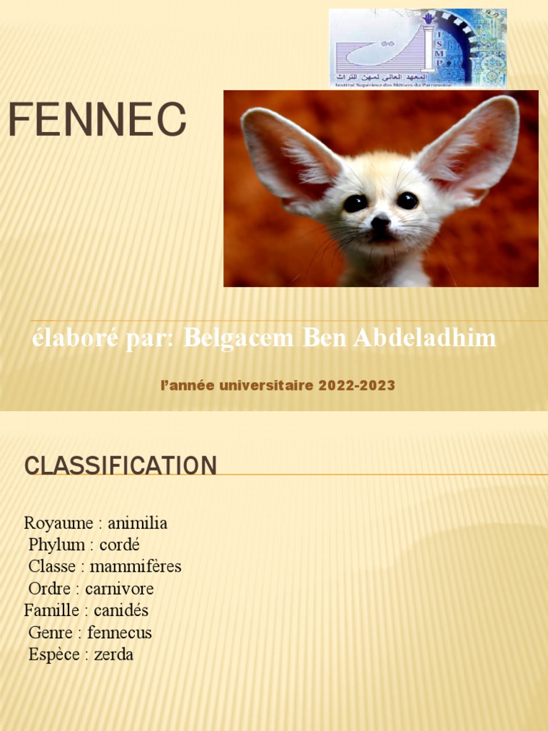 fennec-fox-presentation | PDF | Organismes