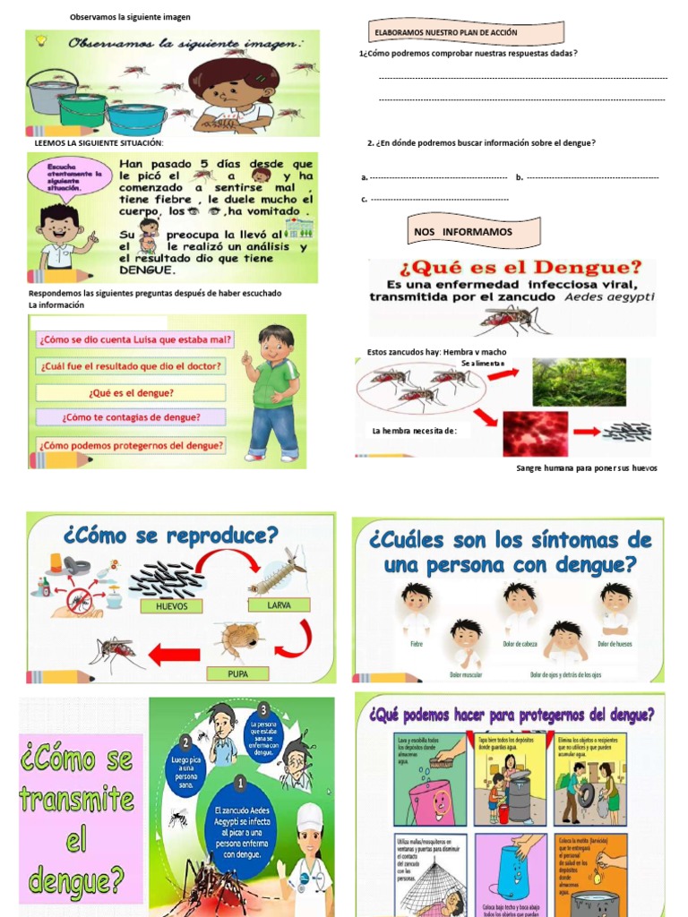 Ficha Educativa sobre el Dengue para Niños | PDF