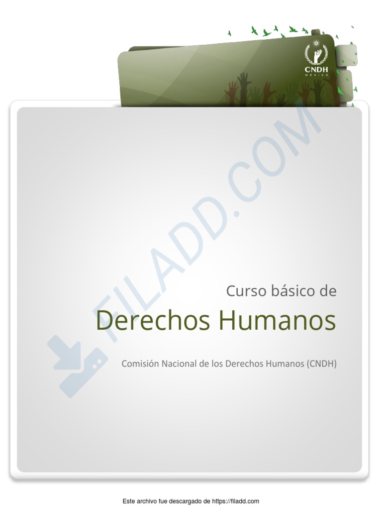 CNDH - Curso Basico de Derechos Humanos | PDF | Derechos humanos | Derechos