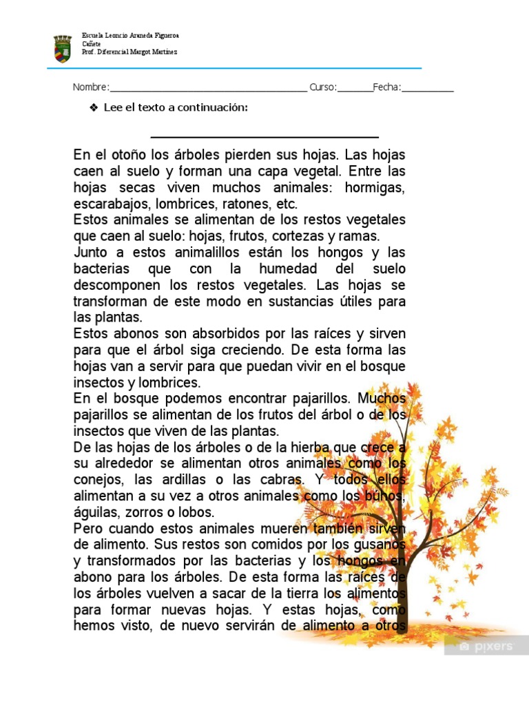 Comprensión Lectora | PDF | Arboles | Hoja