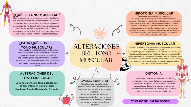 Mapa Mental Alteraciones Del Tono Muscular | PDF | Músculo | Distonia