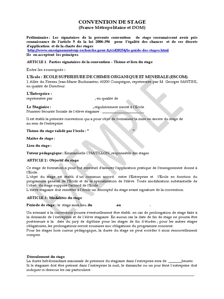 Convention de Stage Vierge | Descargar gratis PDF | Assurance | Business