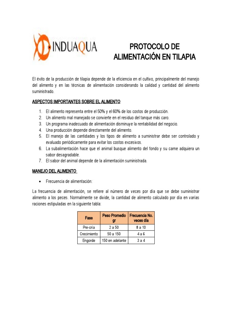 Protocolo De Alimentación En Tilapia Pdf Alimentos Peces Y Humanos