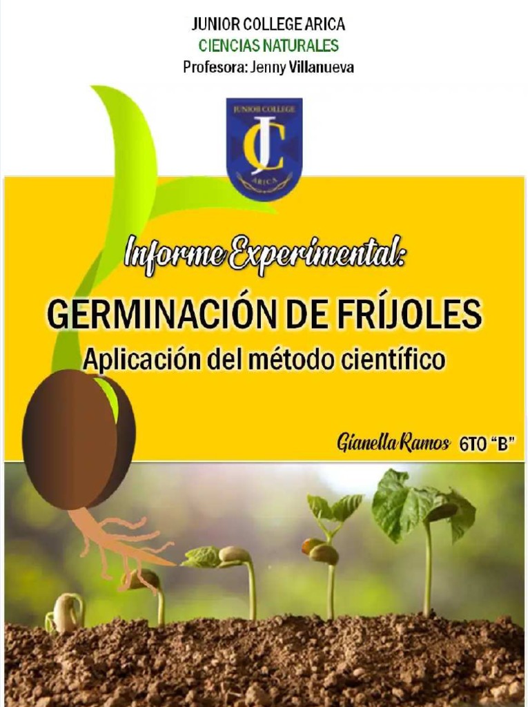 PDF Germinacion de Frijoles Aplicacion Del Metodo Cientifico - Compress ...
