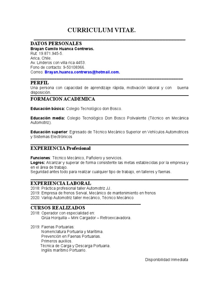 Curriculum Vitae Brayan | PDF