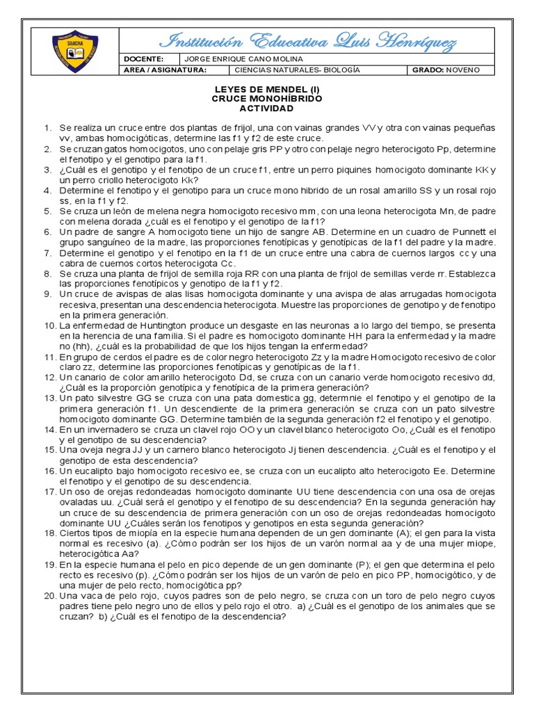 Taller 9 Cruce Monohíbrido | PDF | Dominancia (Genética) | Evolución ...