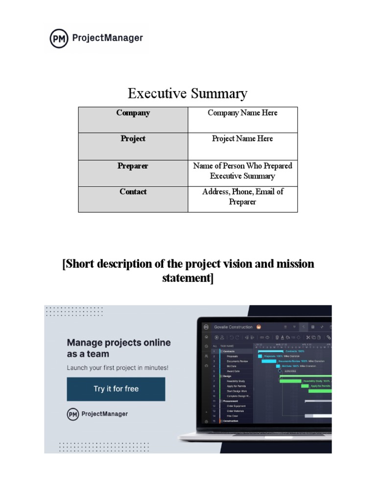 ProjectManager Executive Summary Template ND23 | PDF