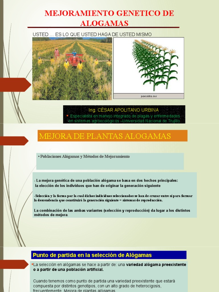Mejoramiento Genetico de Alogamas | PDF