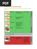 Neurotransmitters and Its Food Sources | PDF | Pickling | Norepinephrine