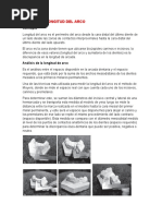 Tipping y Torque en Ortodoncia | PDF | Especialidades Medicas | Ramas ...