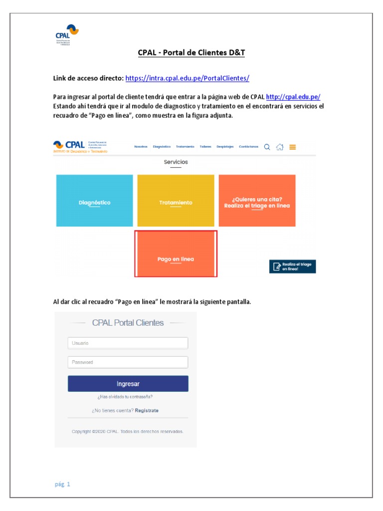CPAL - Guia de Uso Portal Cliente | PDF | Contraseña | Internet