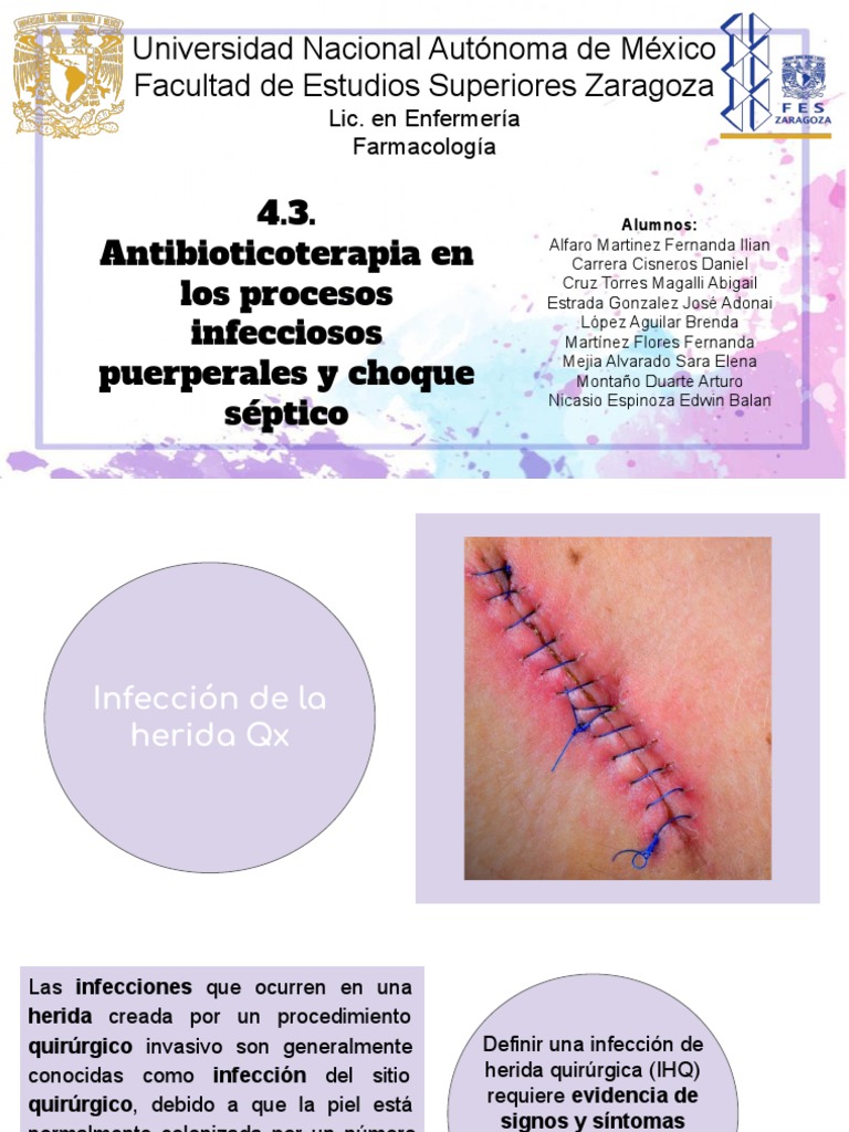 Antibioticoterapia en Los Procesos Infecciosos Puerperales y Choque ...