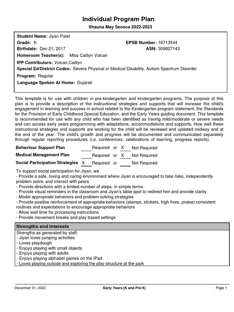 Individual Program Plan: Strengths and Interests | PDF | Special ...