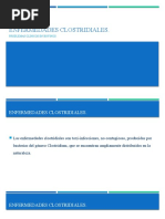 Enfermedades Clostridiales en Rumiantes | PDF | Infección | Oveja