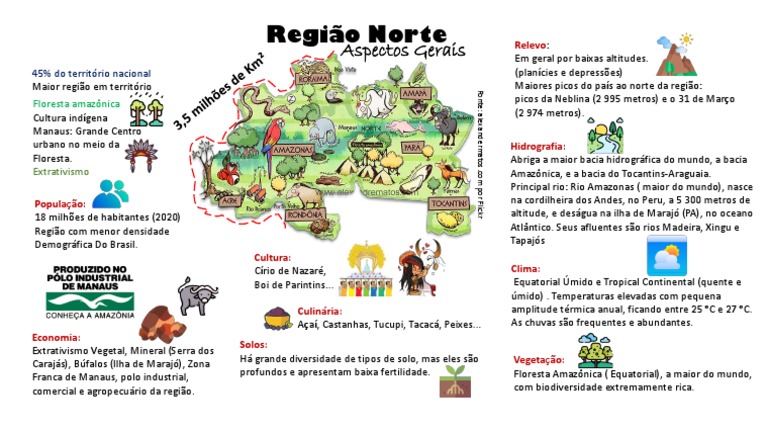 Região Norte (Aspectos Gerais) | PDF | Floresta Amazônica | Ambiente natural