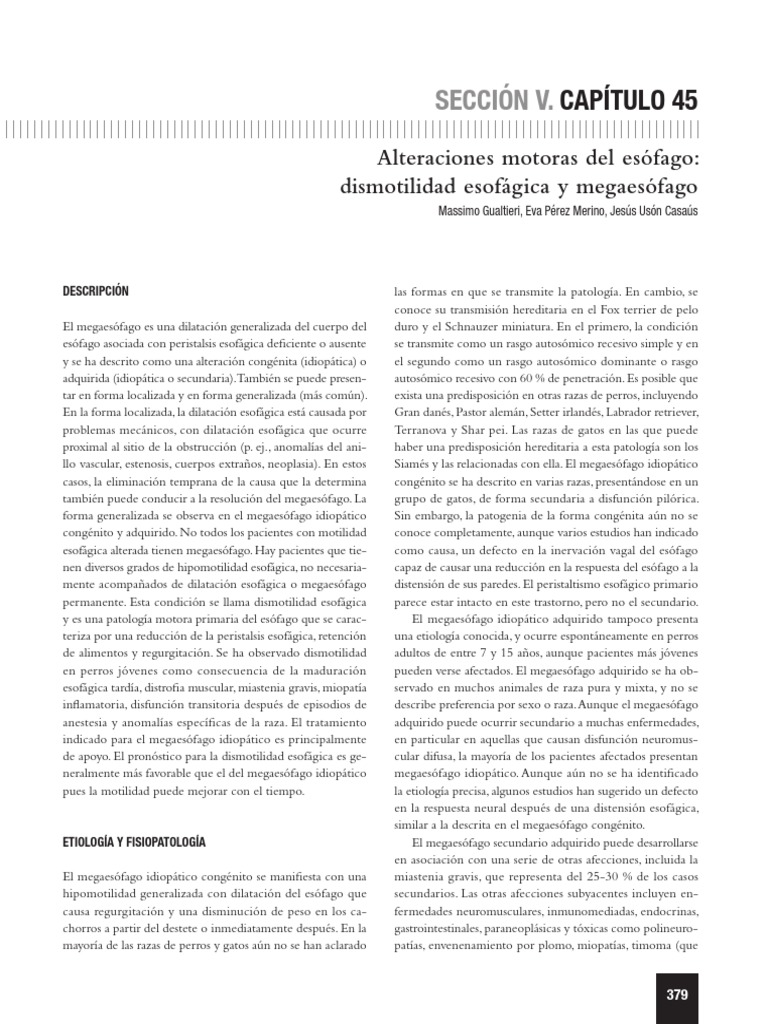 Megaesófago en Perros y Gatos: Causas y Diagnóstico | PDF | Esófago ...