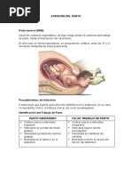 Punto Toconómico | PDF