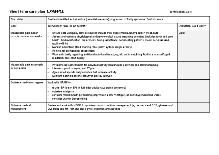 Short-Term Care Plan Example FCG Final | PDF