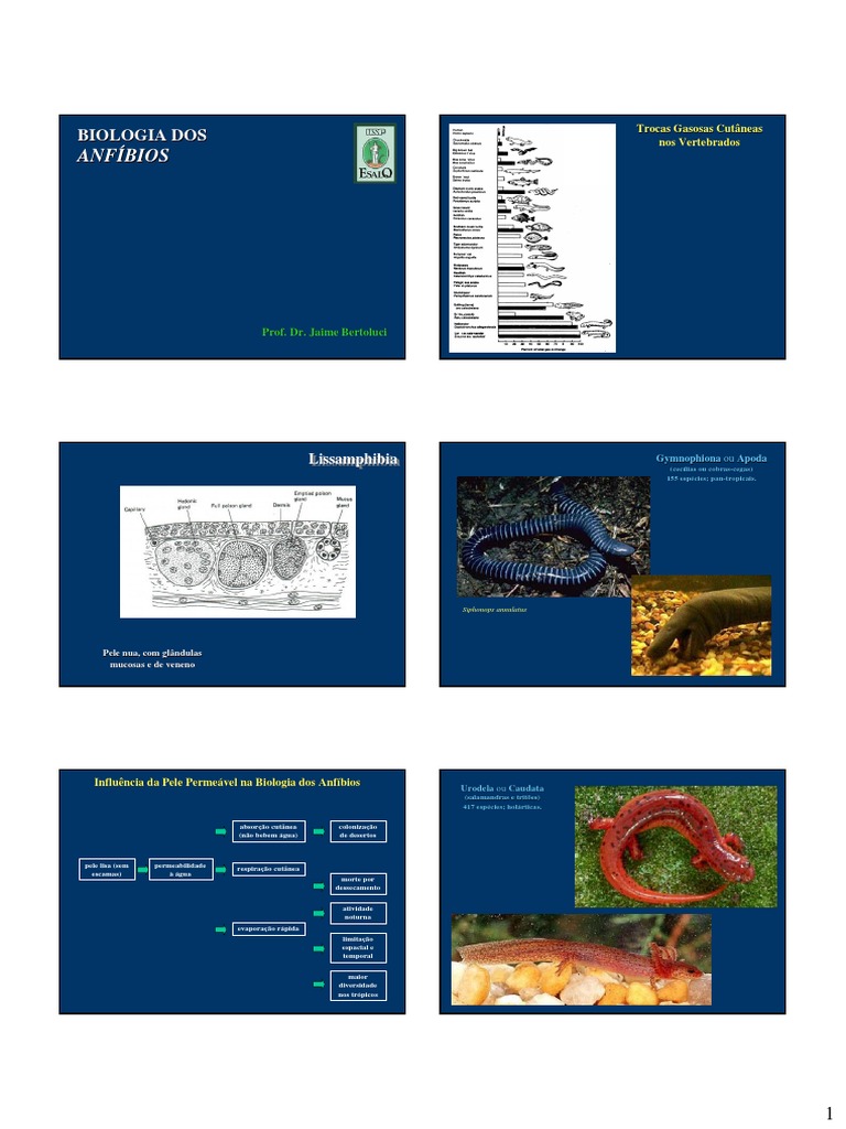 Biologia de Anfibios | PDF | Anfíbio | Sapo