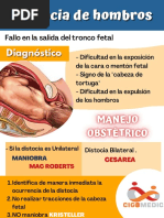 Maniobra de Ritgen | PDF | Parto | Reproducción