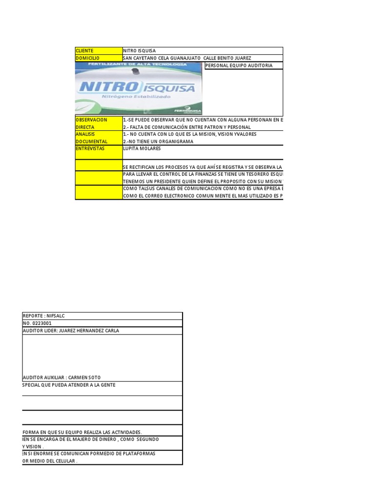 Auditoría Administrativa Nitro Isquisa | PDF | Auditoría | Business