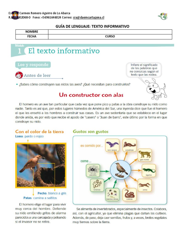 Guía Texto Informativo | PDF