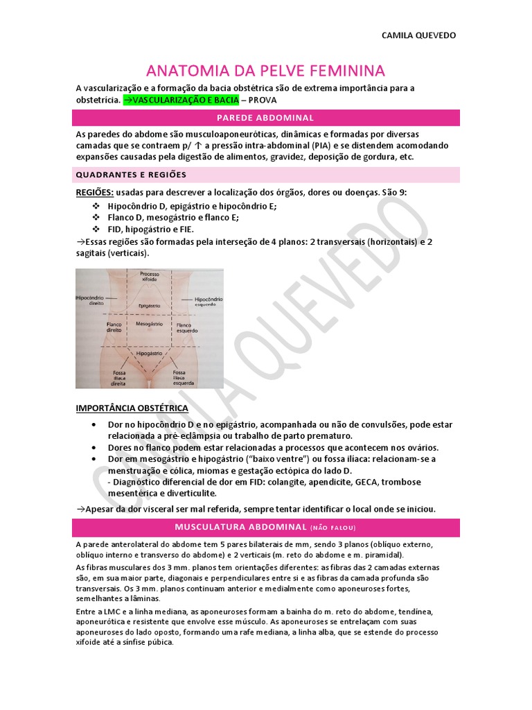 Anatomia Da Pelve Feminina | PDF | Pélvis | Vagina