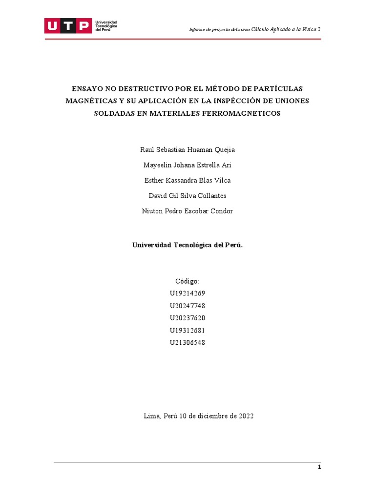 Ensayo No Destructivo con Partículas Magnéticas | PDF | Imán | Campo magnético