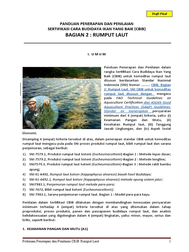 Panduan Penerapan & Penilaian CBIB RL (Draft Final) | PDF | Griya & Taman | Teknologi & Rekayasa