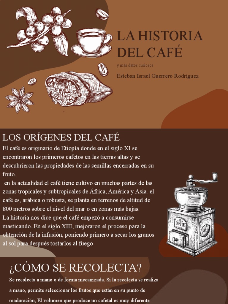 La Historia Del Café | PDF | café | Agricultura