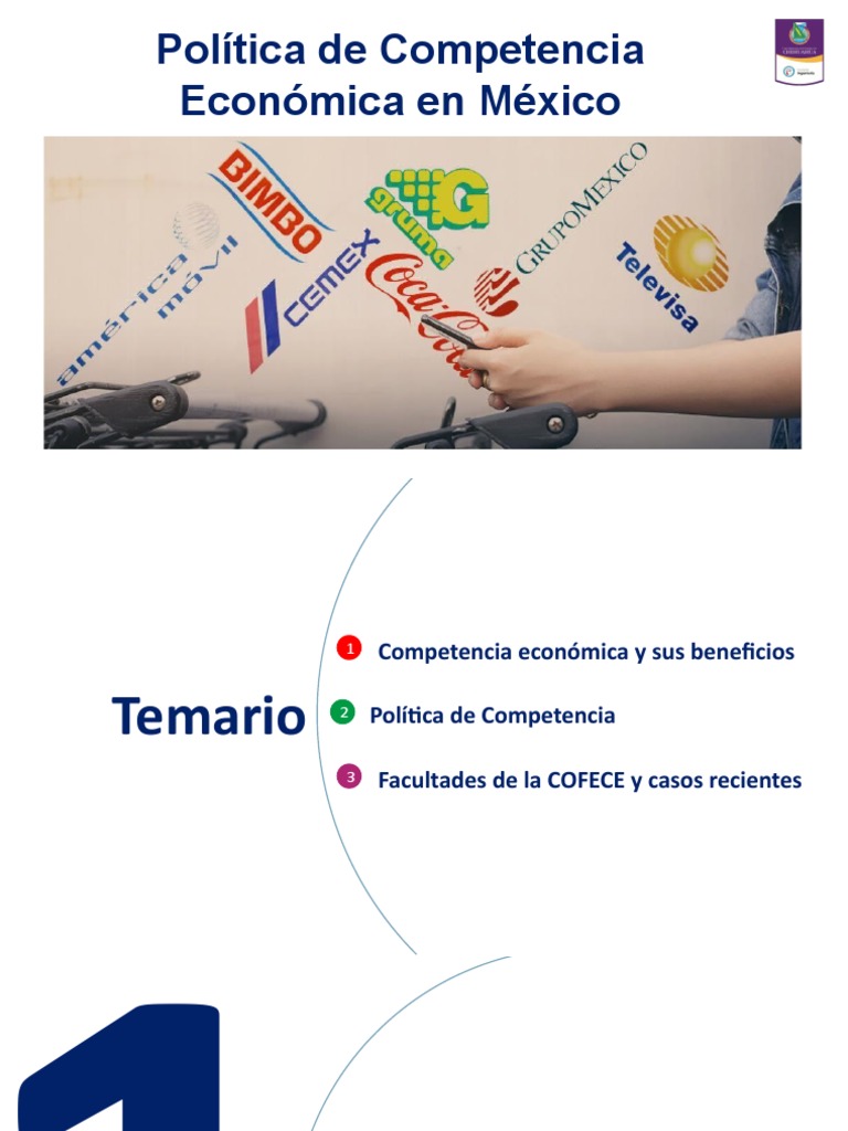 Competencia Economica | PDF | Monopolio | Sector privado