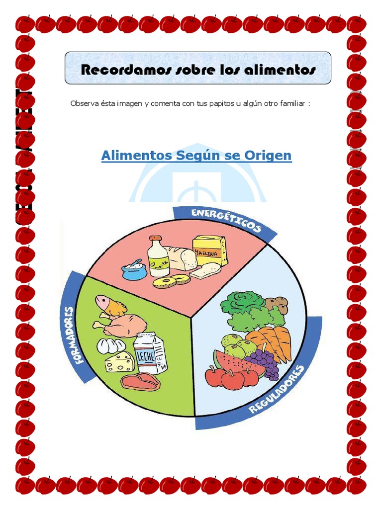 Clasificación de Los Alimentos | PDF | Alimentos | Nutrición