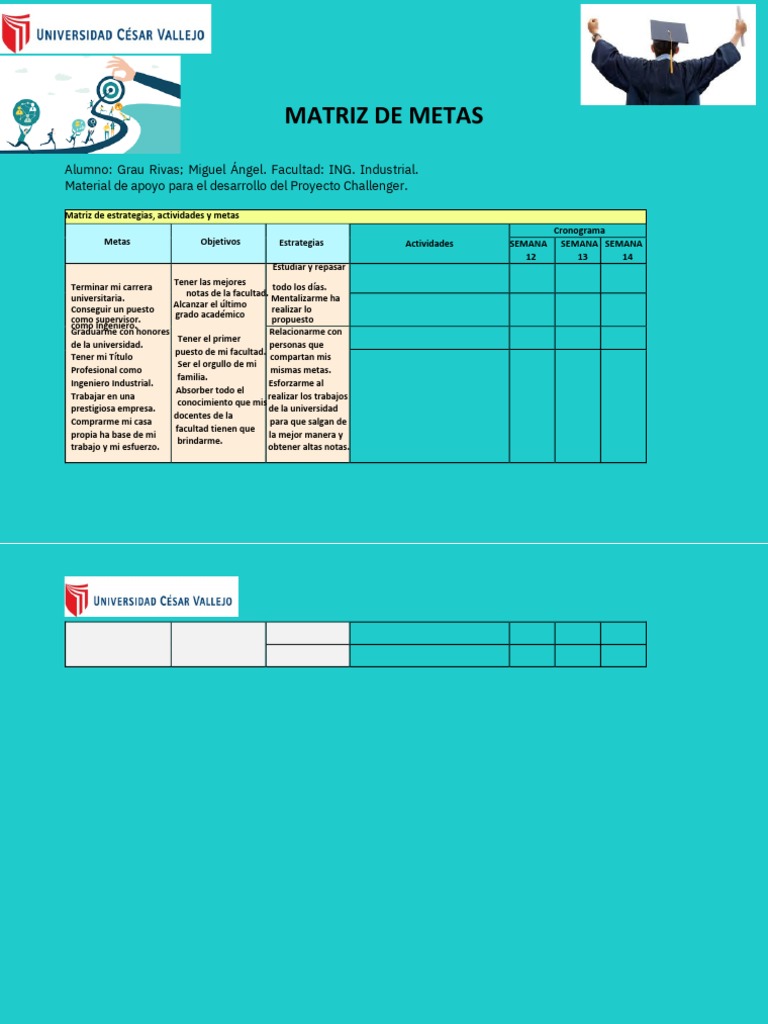 MATRIZ DE METAS DF | PDF