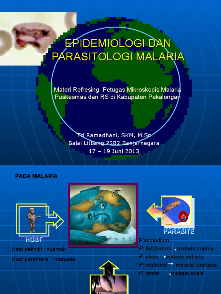 Epid Malaria | PDF