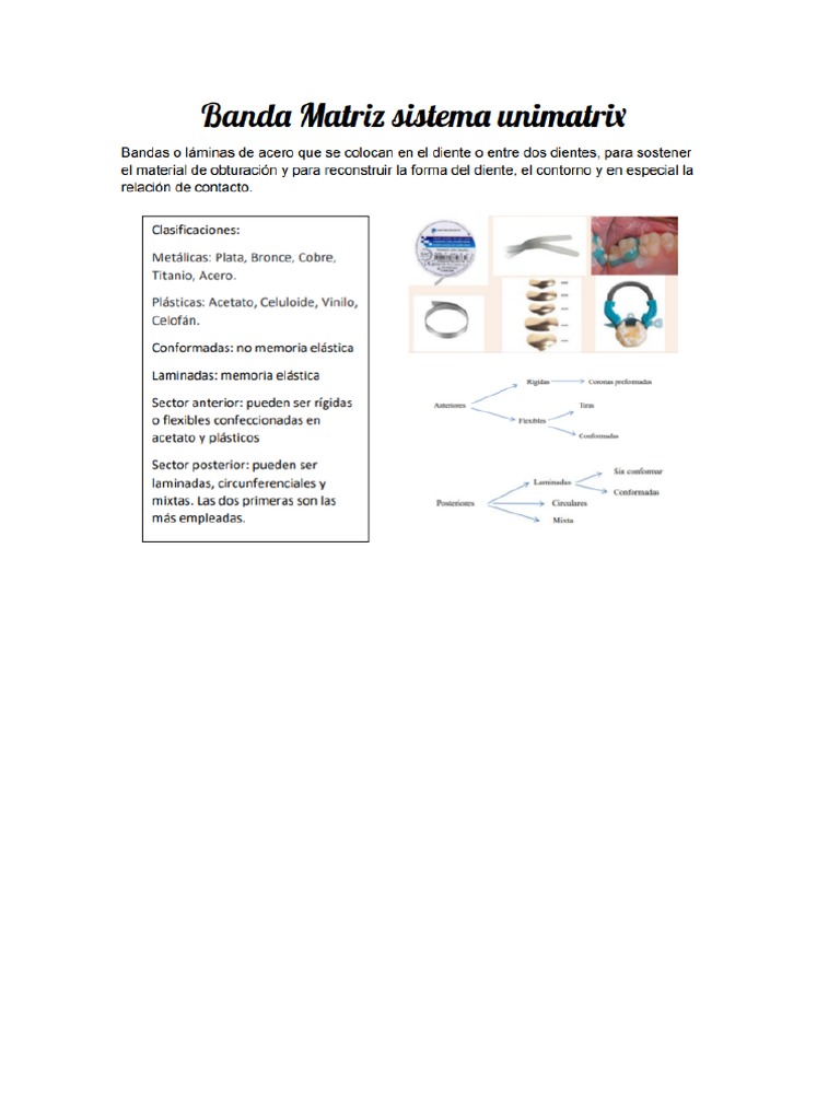 Banda Matriz Sistema Unimatrix | PDF