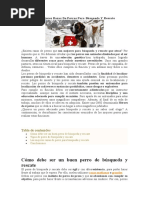 Morfología del perro: Graioides y Occipucio | PDF | Diente | Pastor alemán