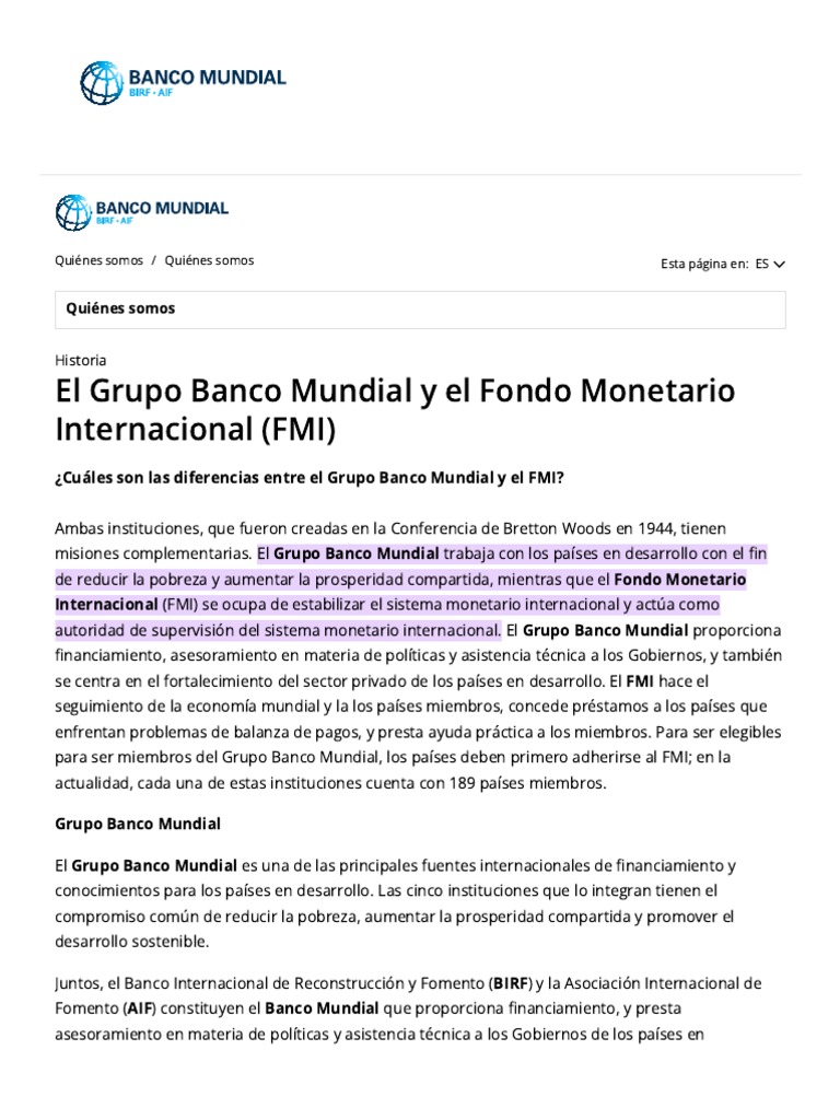 Financiera El Grupo Banco Mundial y El Fondo Monetario Internacional (FMI) | PDF | Banco Mundial ...