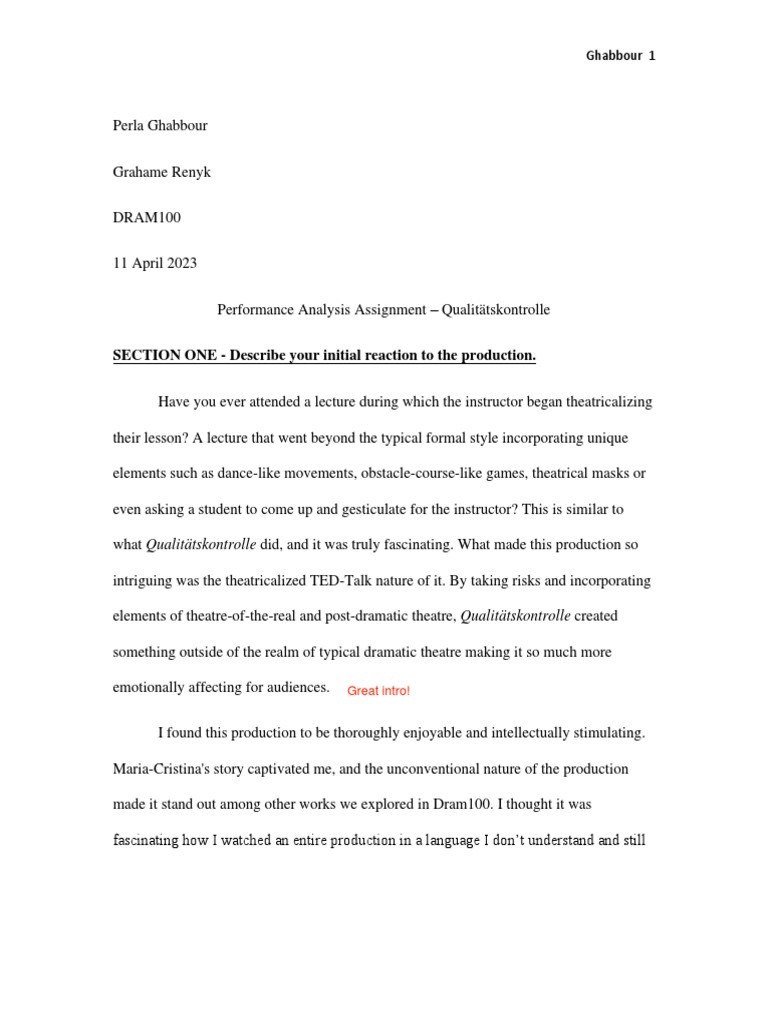 Performance Analysis Assignment 2-7396096 | PDF | Experience | Storytelling