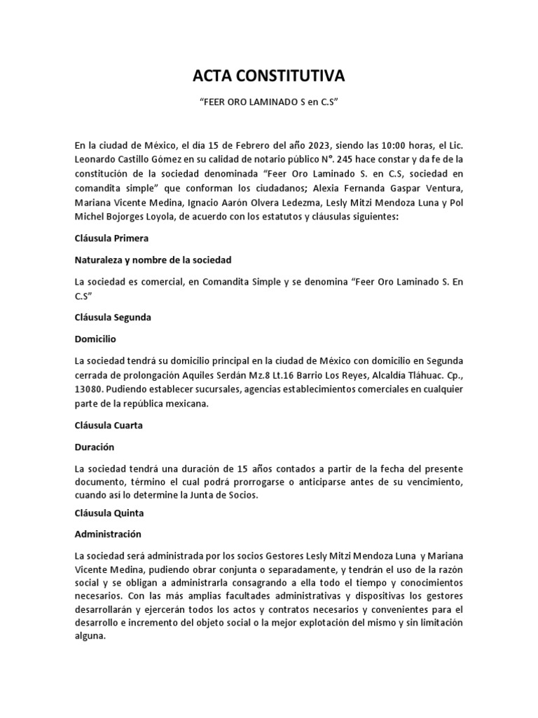 Acta Constitutiva | PDF | Gobierno